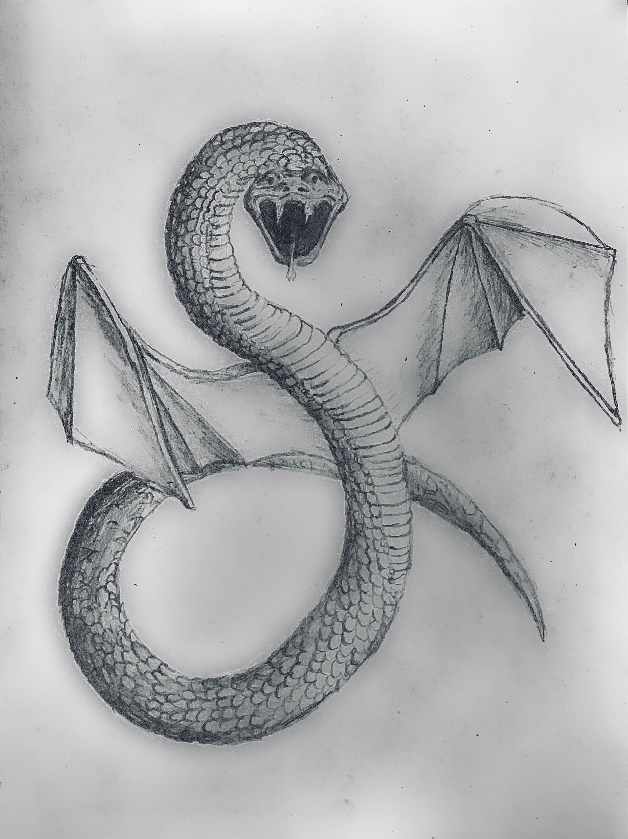 Amphipteres: The Flying Serpents Of Zomme – Myrstat